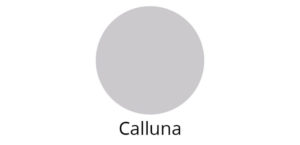 Farrow and Ball Calluna - Silver Wall Art, Contemporary Art UK